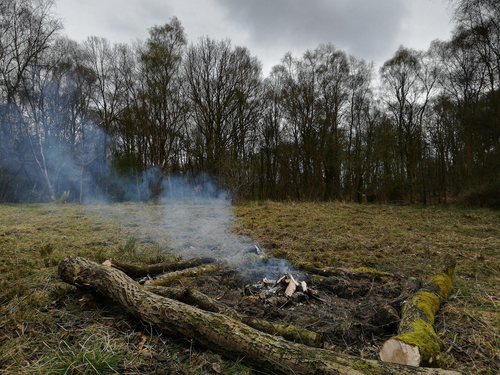 Coltswood | Clyde Scouts